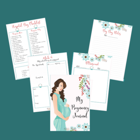 DIY Pregnancy Test - Mama of Five