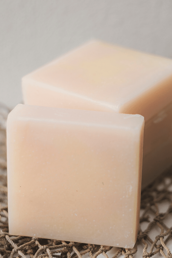 DIY Pregnancy Test - Mama of Five