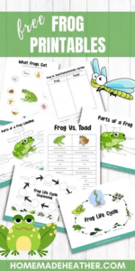 14 Fun & Easy Frog Crafts for Kids - Mama of Five