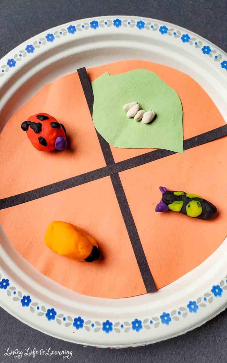 Fun & Free Ladybug Crafts for Kids - Mama of Five